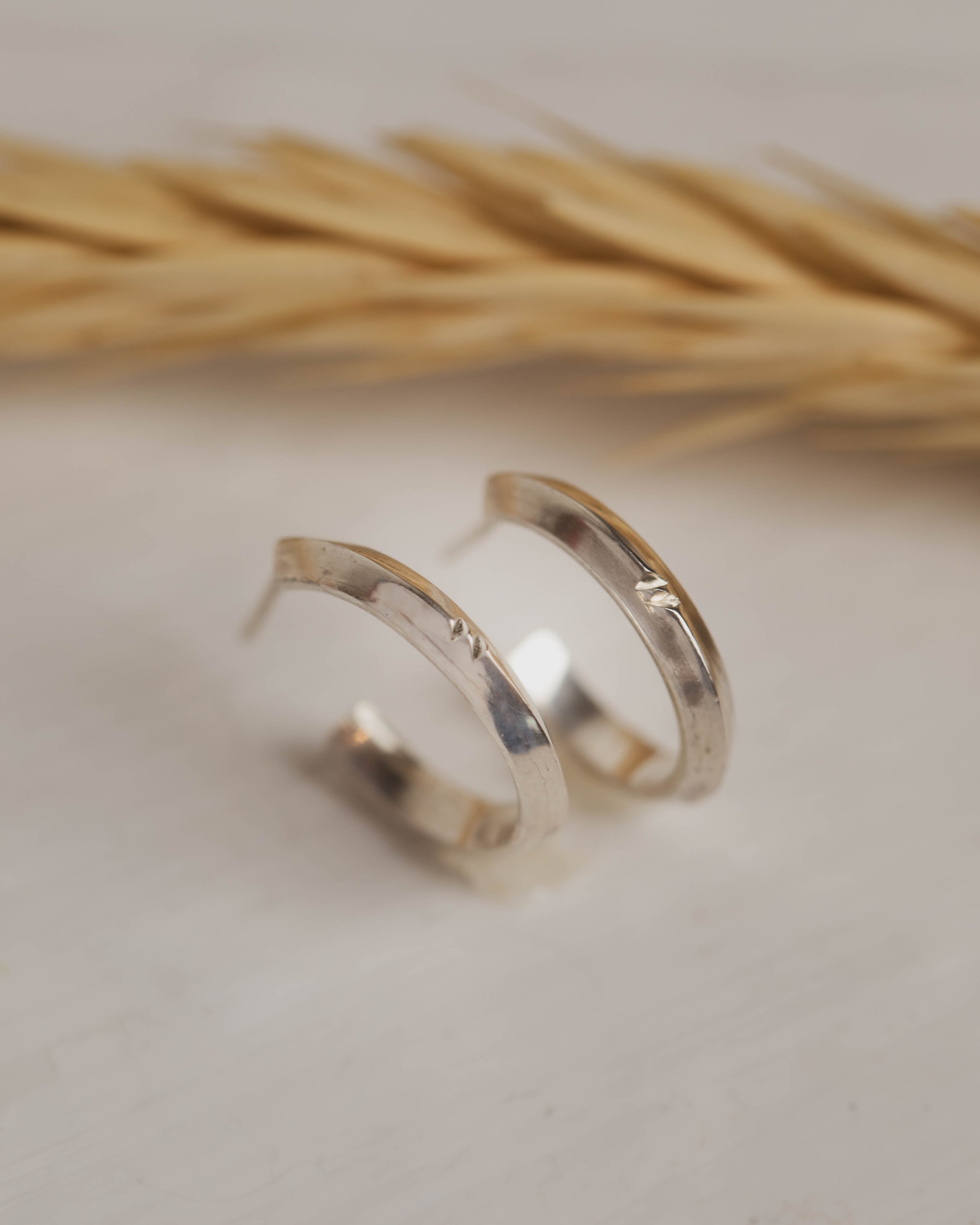 Edge Hoops – Dillon Rose