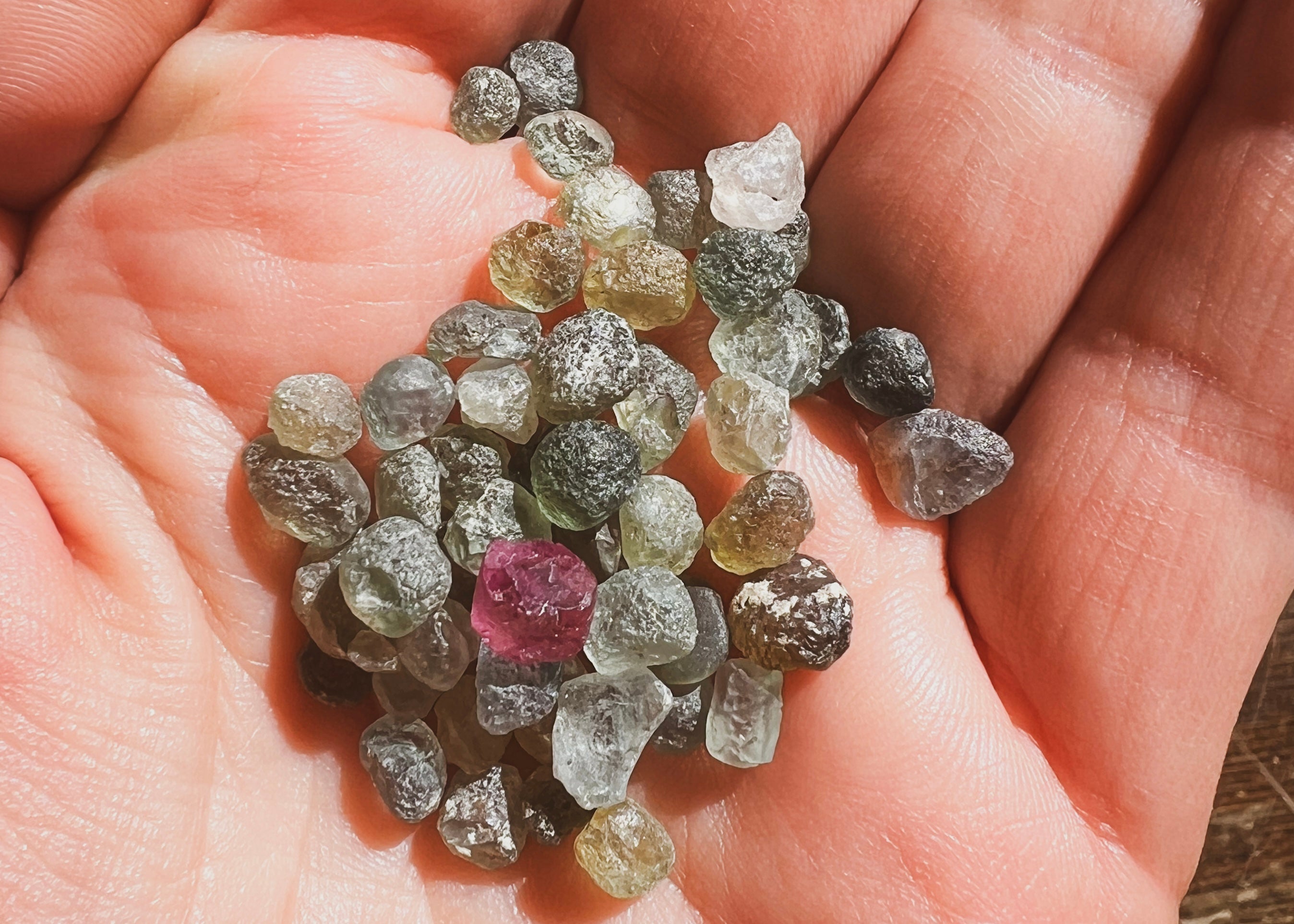 Story of a Single Sapphire – Dillon Rose